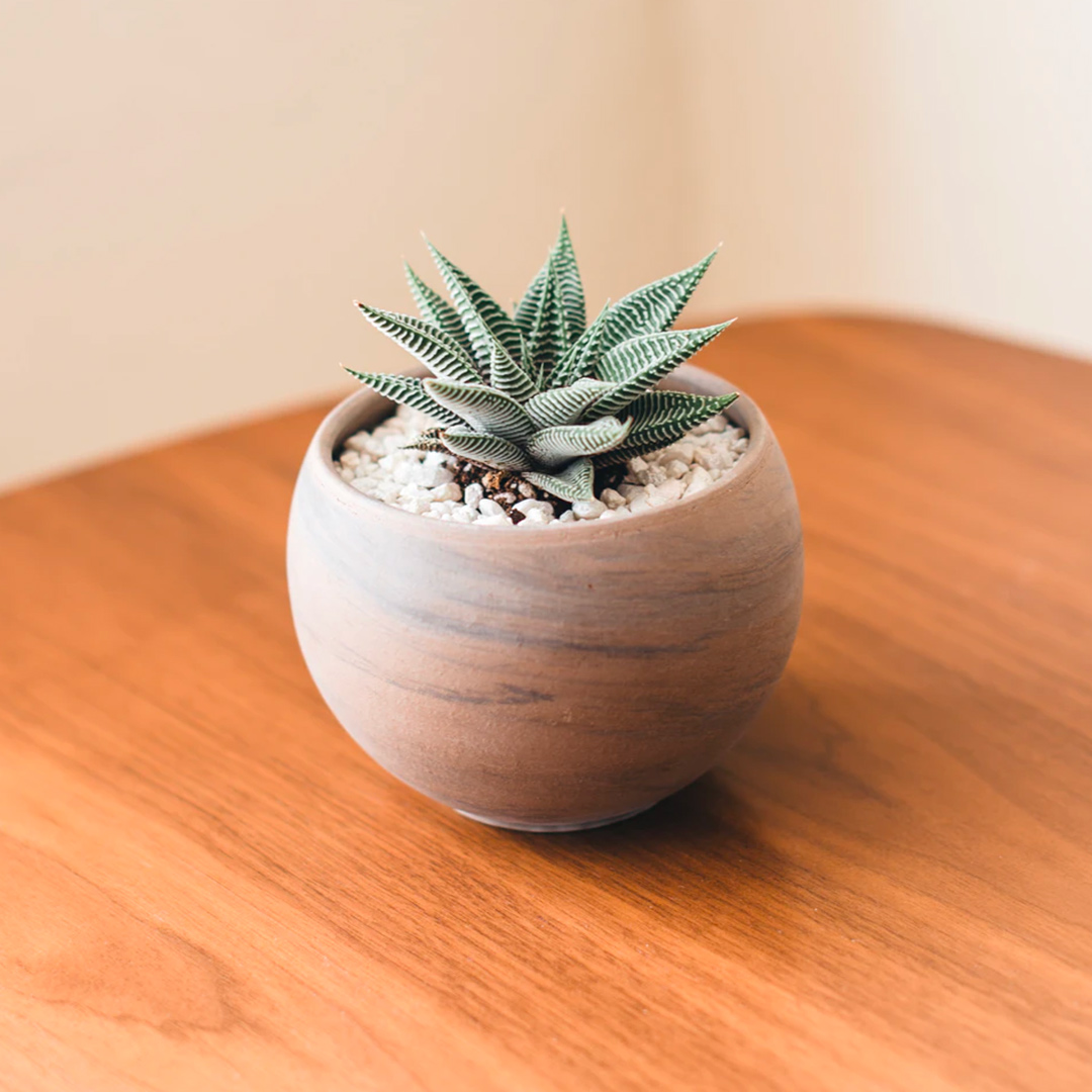 Portafolio 1 - Dimark SEO